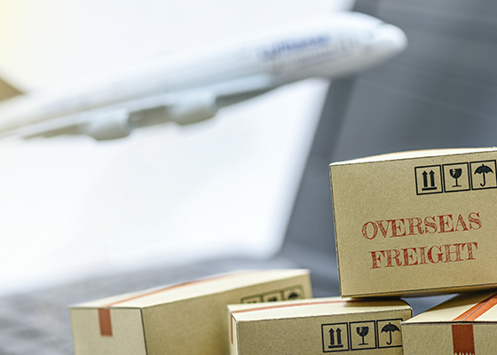 Pack archivos - Teleduc